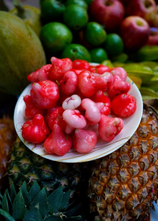 Comfort Meets Value: Shop Wax Jambu, Red (Syzygium Samarangense) at ...